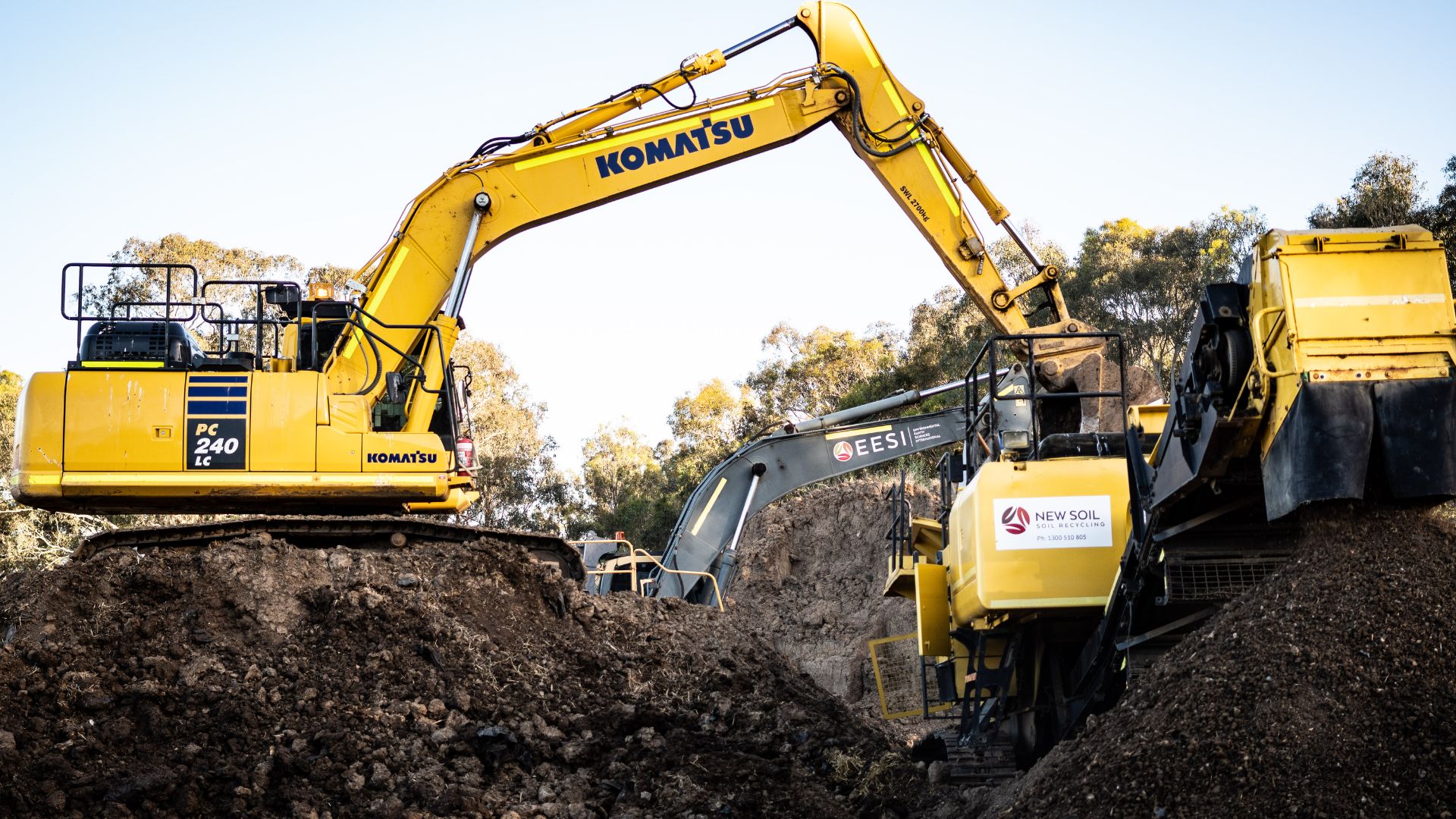 Bioremediation: Preserving Soil as a Vital Resource